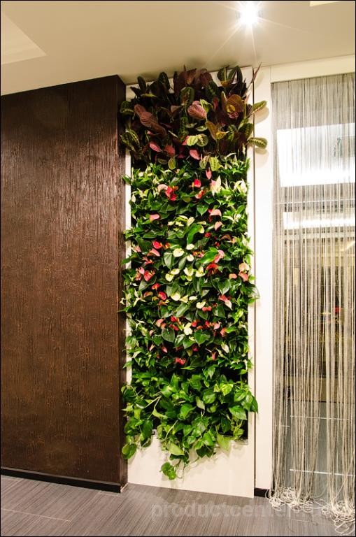 Фитомодуль от производителя Производственная компания «Фитостены ...